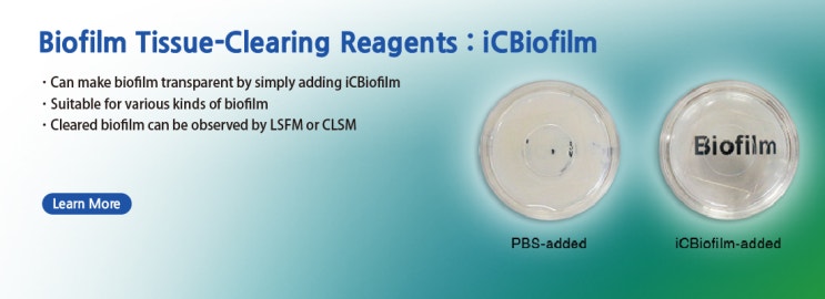 [TCI Key Visual] Biofilm Tissue-Clearing Reagents : iCBiofilm : 네이버 블로그