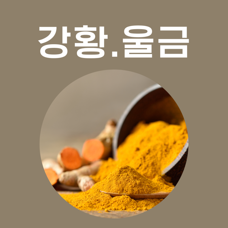 강황의효능 강황 울금 차이 커큐민 효능 가루 환 부작용 몸속염증제거 염증에 좋은 식품 음식 네이버 블로그