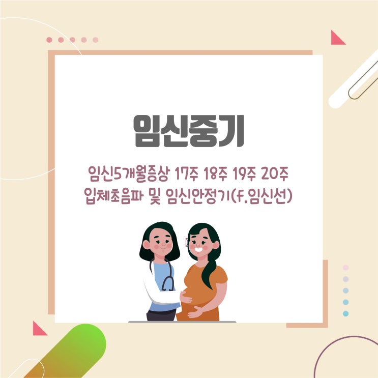임신 중기 5개월증상 17주 18주 19주 20주 입체초음파 및 임신안정기 F임신선 네이버 블로그