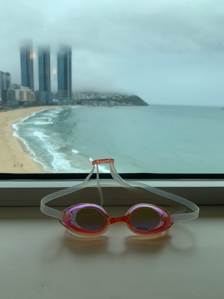수영짤팁 수영초보 수경 추천 수경 고르기 수경 종류feat 패킹수경 노패킹수경 도수수경눈나쁜사람 수경 꿀팁