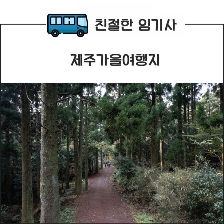 제주가을여행지 피톤치드 가득한 힐링 숲길 서귀포치유의숲 : 네이버 블로그
