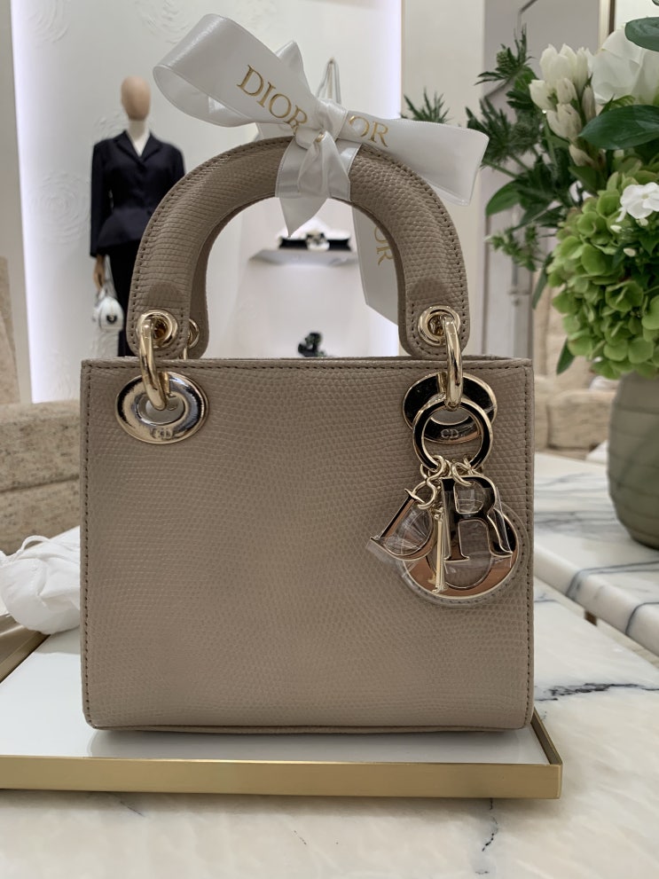 [DIOR] 디올 레이디백 미니 이그조틱 리자드 베이지 구입 : 네이버 블로그