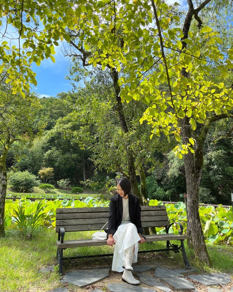 홍천1 (신토불이/수타사/연봉리제빵소/무궁화수목원/온정오골계숯불구이) : 네이버 블로그