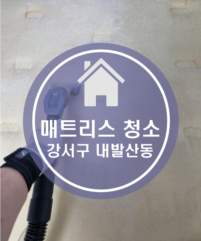 강서구 내발산동 오곡동 침대 매트리스 쇼파 청소 언제든지 맡겨주세요 네이버 블로그