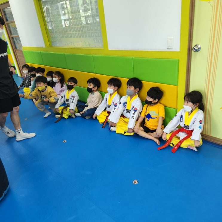 사랑으로 지도하는 천안 용소태권도 귀여운 아이들 보고 가세요 네이버 블로그