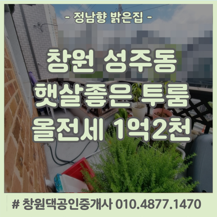 창원 성주동 투룸 임대 성주동 단독주택 성산구 성주동 올전세 투룸 1억2천 준신축정남향베란다있음창원부동산창원댁공인
