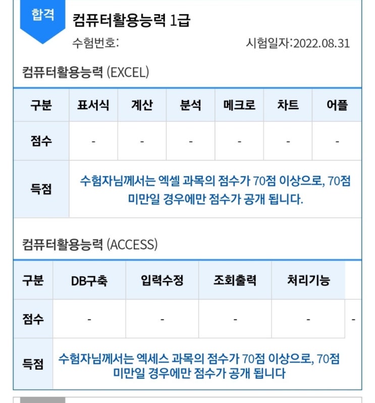 컴푸터활용능력 1급 컴활1급 노베이스 합격 후기 인강 실기 버리는문제 푸는순서 네이버 블로그