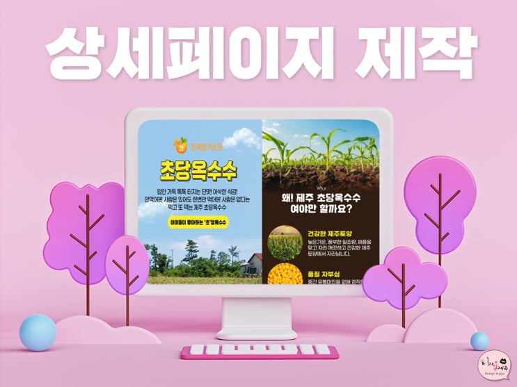 초당옥수수상세페이지제주도 상세페이지 디자인 제작은 인제주 네이버 블로그
