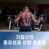 달성군 헬스장 기립근의 중요성과 운동방법 네이버 블로그
