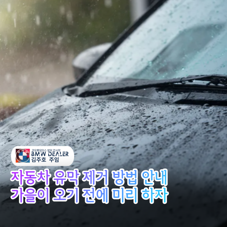 자동차 유막 제거 방법 안내, 가을이 오기 전에 미리 하자 : 네이버 블로그