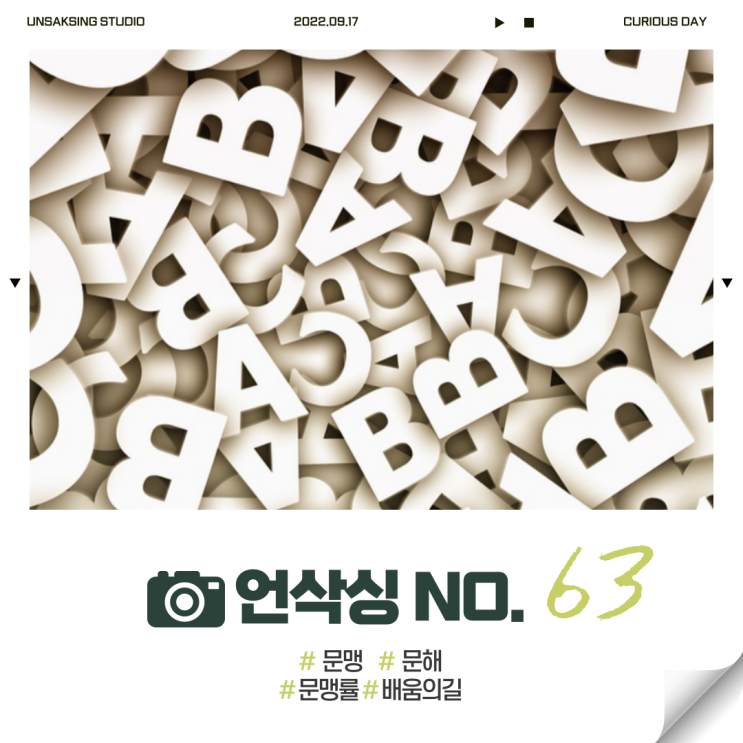 문맹 정확한 뜻 문맹률 어느정도일까 네이버 블로그