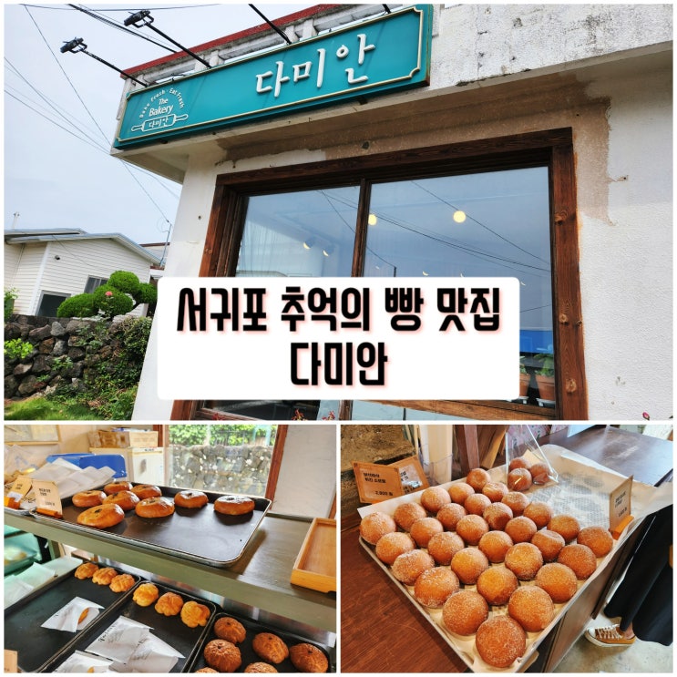 제주도 서귀포 빵집 옛 추억의 빵맛집 다미안 단팥이 맛있구나 네이버 블로그