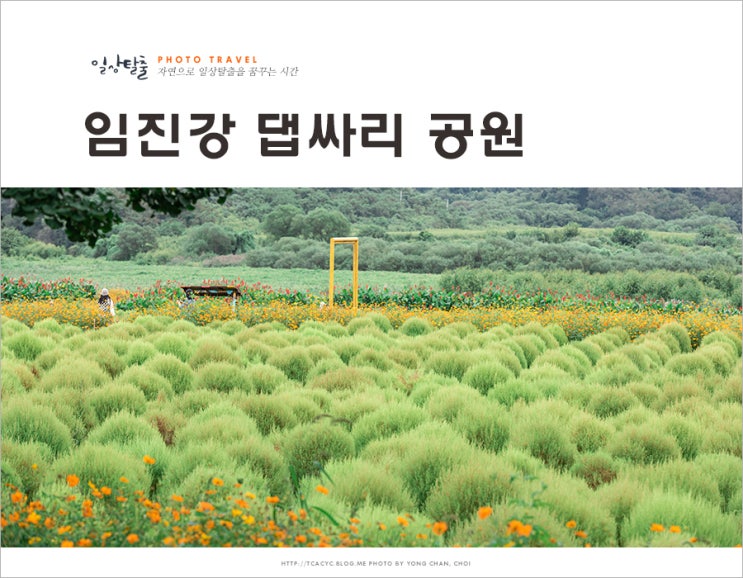 서울근교 여행 데이트 코스 경기도 꽃구경 연천 임진강 댑싸리 공원 네이버 블로그