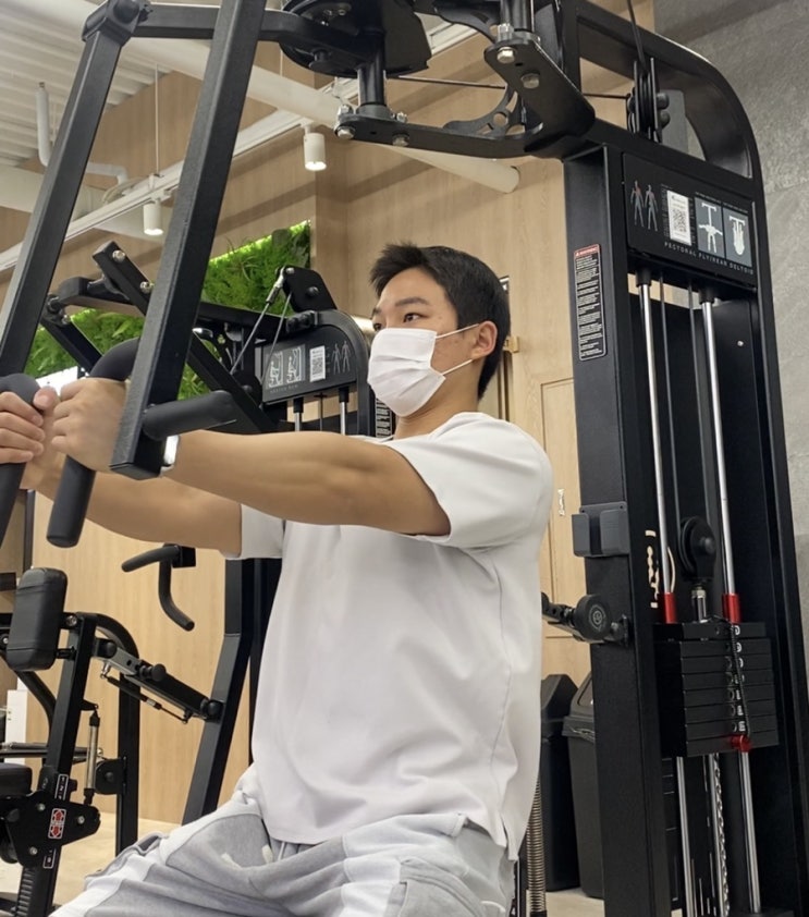남자 여자 초보자를 위한 가슴 운동 루틴 4가지 펙덱 플라이체스트 프레스 인클라인 프레스 디클라인 프레스 네이버 블로그