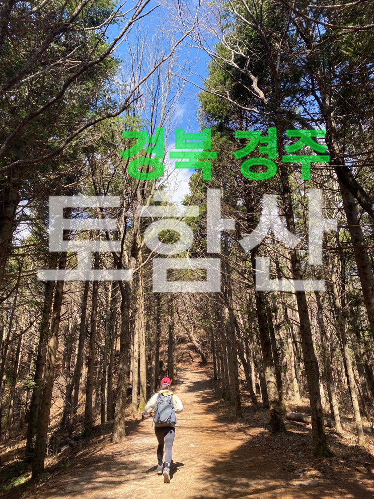 경주 토함산 등산 코스불국사 공영주차장 불국사 석굴암 정상 원점회귀 네이버 블로그