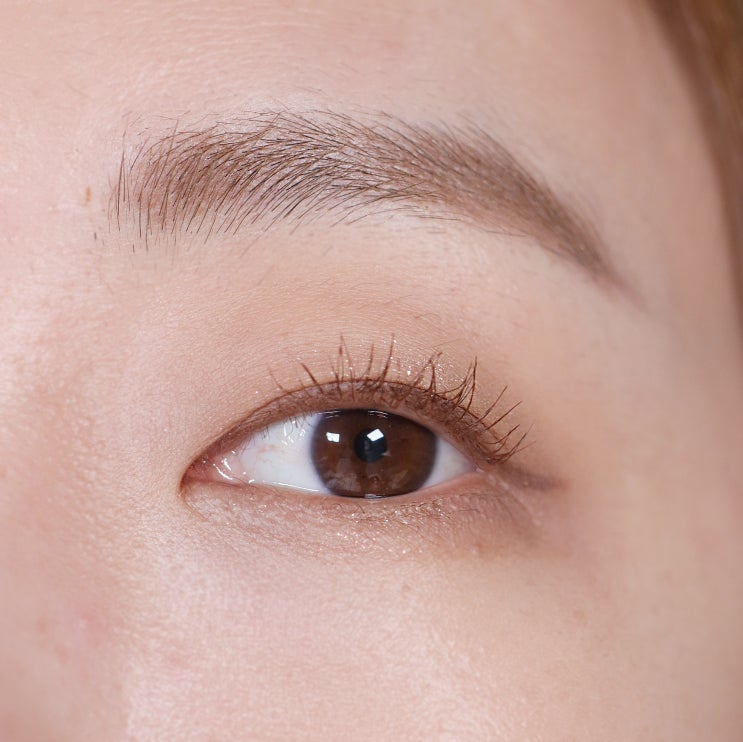 릴리바이레드 무드키보드 섀도우 팔레트 1호 애쉬 시나몬 3호 애쉬 베이지 속쌍 눈화장 네이버 블로그