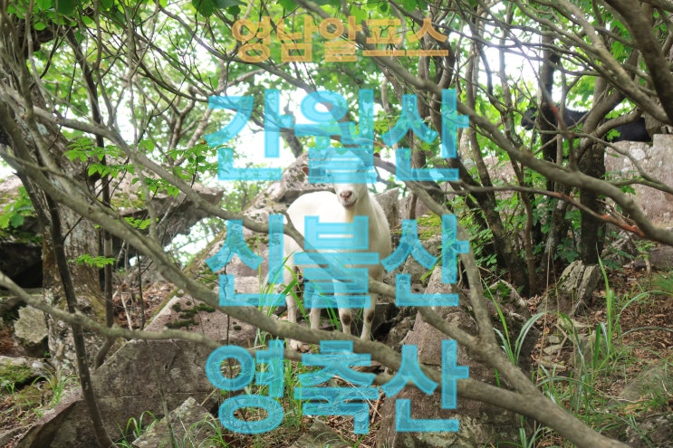 영남알프스 간월산 신불산 영축산 등산 코스배내고개에서 죽전마을 로 하산 네이버 블로그