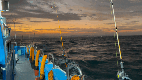 [국내여행] 첫 쭈꾸미 낚시_무창포항 : 네이버 블로그