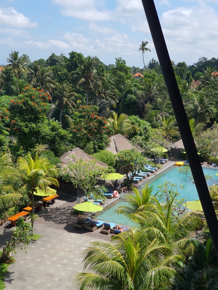 [인도네시아 발리] 엘리먼트 바이 웨스틴 발리 우붓 (Element by Westin Bali Ubud) : 네이버 블로그