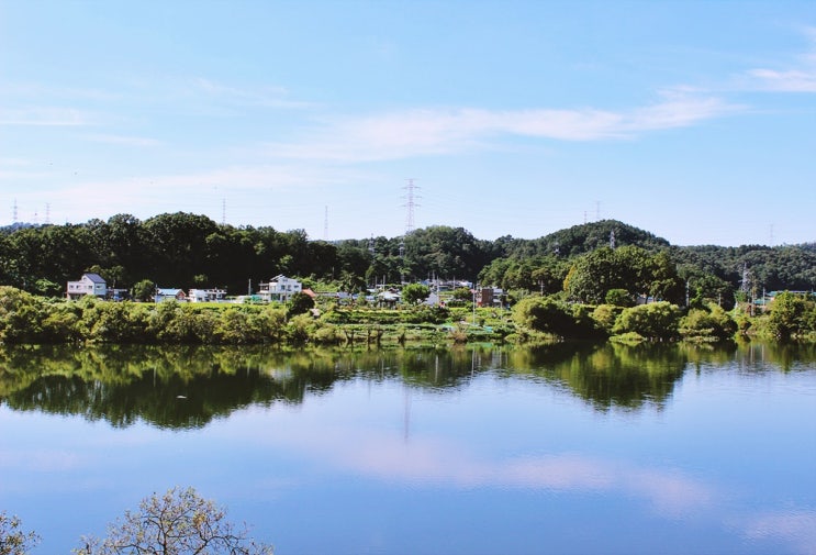 만일 내가 낫는다면 : 네이버 블로그