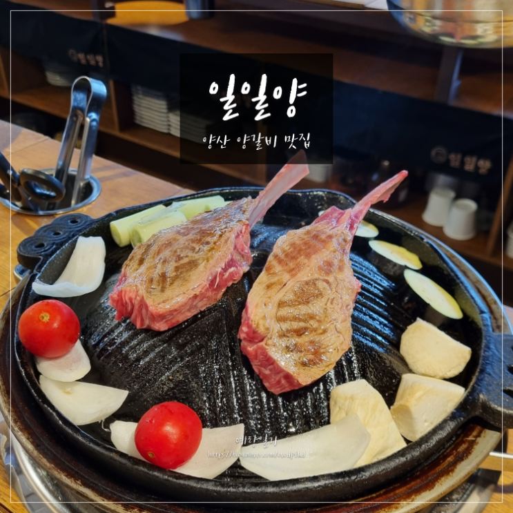 양산 양고기 범어맛집 일일양 양갈비가 맛있는 징기스칸 화로구이 전문점 네이버 블로그