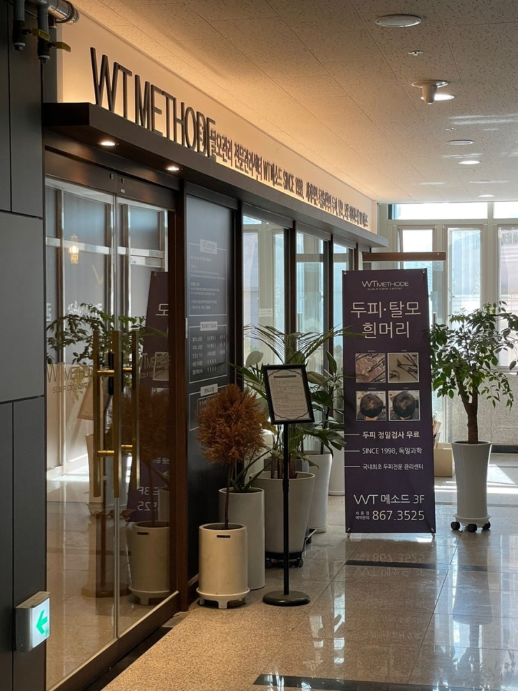 세종시탈모관리 보람동에 위치한 Wt메소드 탈모두피 네이버 블로그
