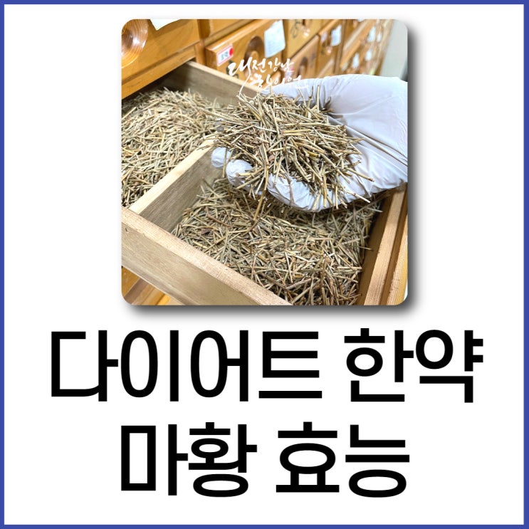 한약다이어트 마황 효능과 부작용 : 네이버 블로그