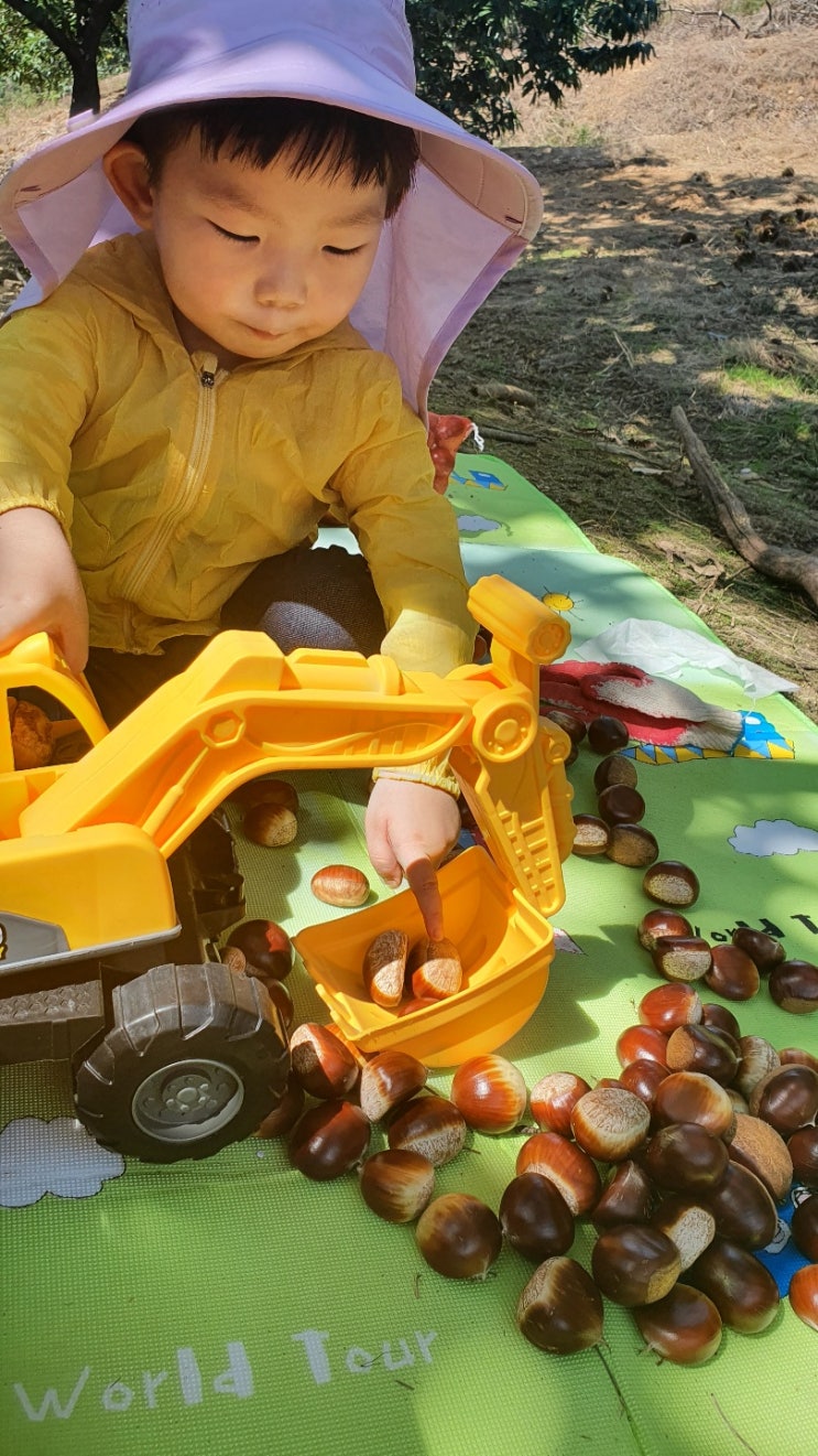 220919 일기 : 네이버 블로그