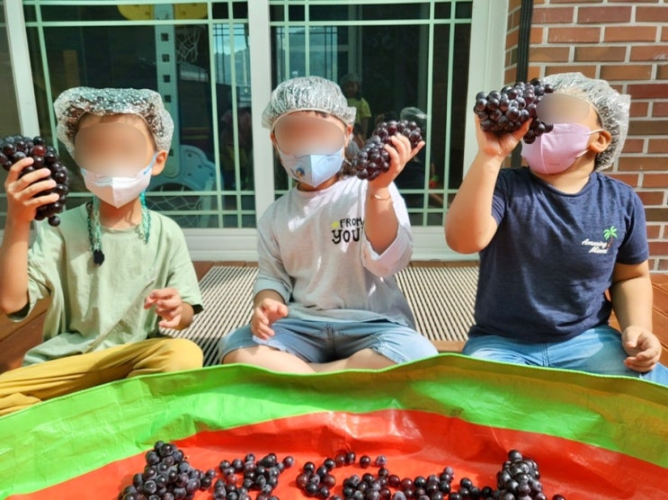 포도로 놀이해요🍇💜(오감놀이) : 네이버 블로그