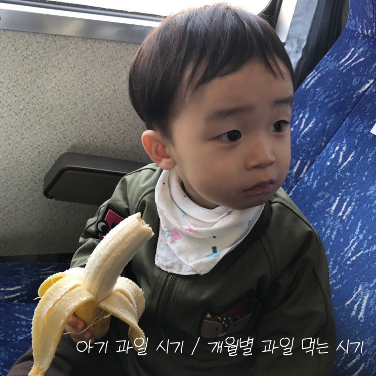 아기 과일 시기 언제부터 개월별 먹는시기 알아보기 네이버 블로그