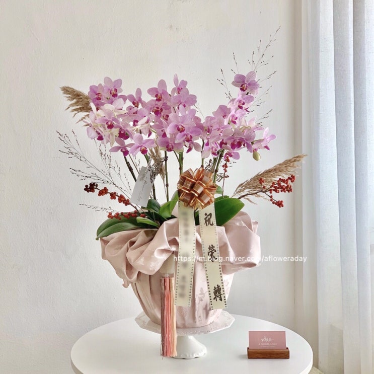 A Flower A Day 어플라워어데이 영전화분 대형호접난화분 호접란화분선물 고급승진화분 기업 영전화분 보자기포장화분 호접난