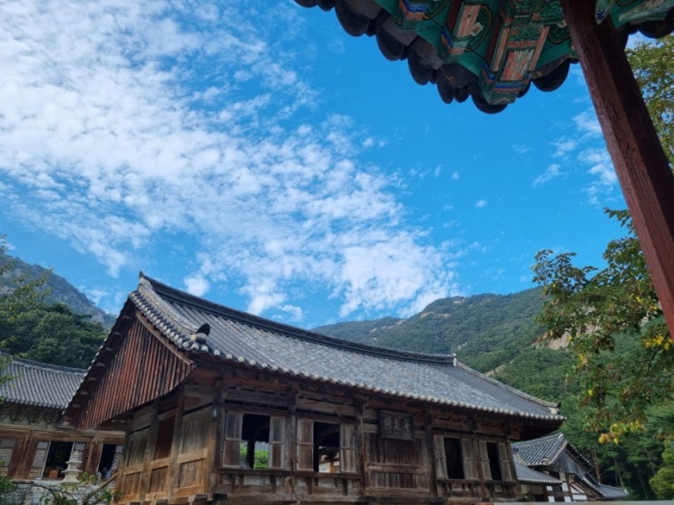 부안 내소사 : 네이버 블로그