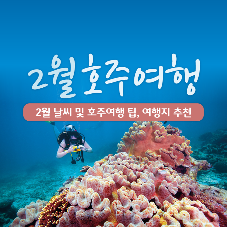 2월 호주여행 날씨 준비물 겨울 따듯한 해외 여행지 추천 호주 패키지 신혼여행 허니문 등 여행 팁 네이버 블로그