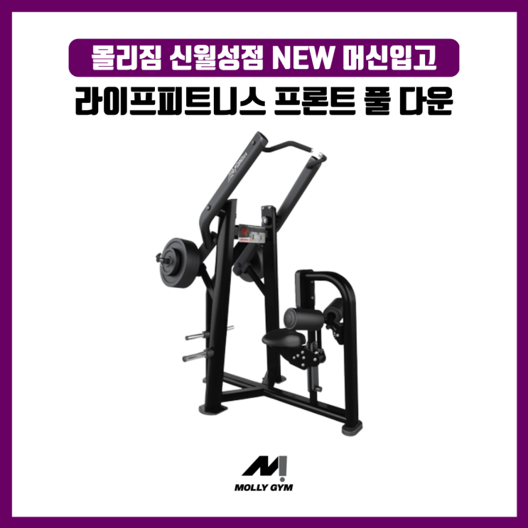 대구 월성동 헬스장 몰리짐 신월성점 새로운 머신 입고 라이프피트니스 프론트 풀 다운 네이버 블로그