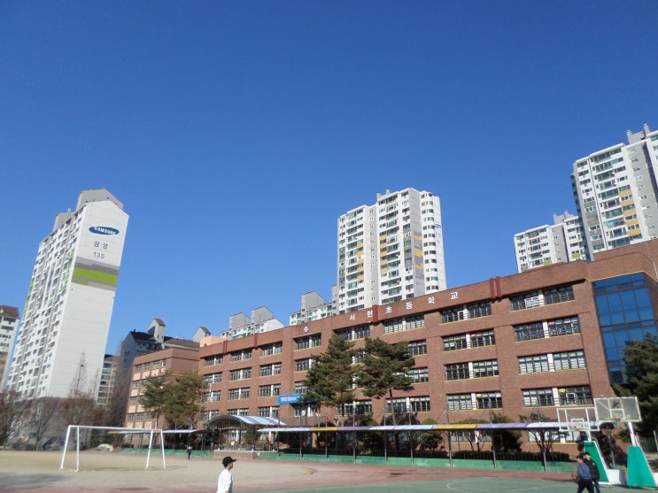 저출생 여파속에 변화가 감지되는 분당 중학교 학군 네이버 블로그