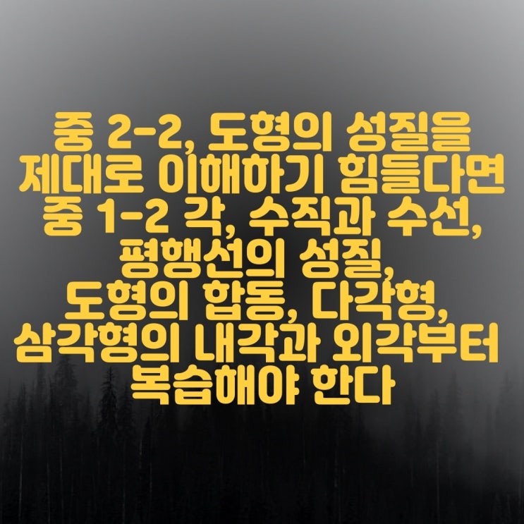 안성공도진사리수학과외 중 2 2 도형의 성질을 제대로 이해하기 힘들다면 중 1 2 각 평행선의 성질 도형의 합동