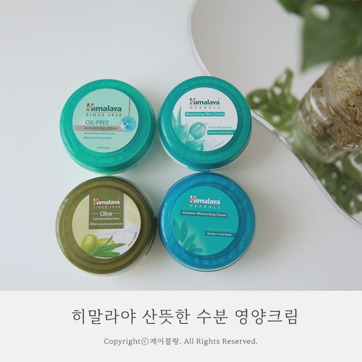 히말라야 너리싱 크림 수부지를 위한 끈적이지않는수분크림 추천 네이버 블로그