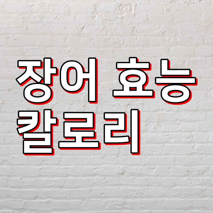 장어 단백질 칼로리 영양성분 콜레스테롤 설사 부작용과 철 네이버 블로그