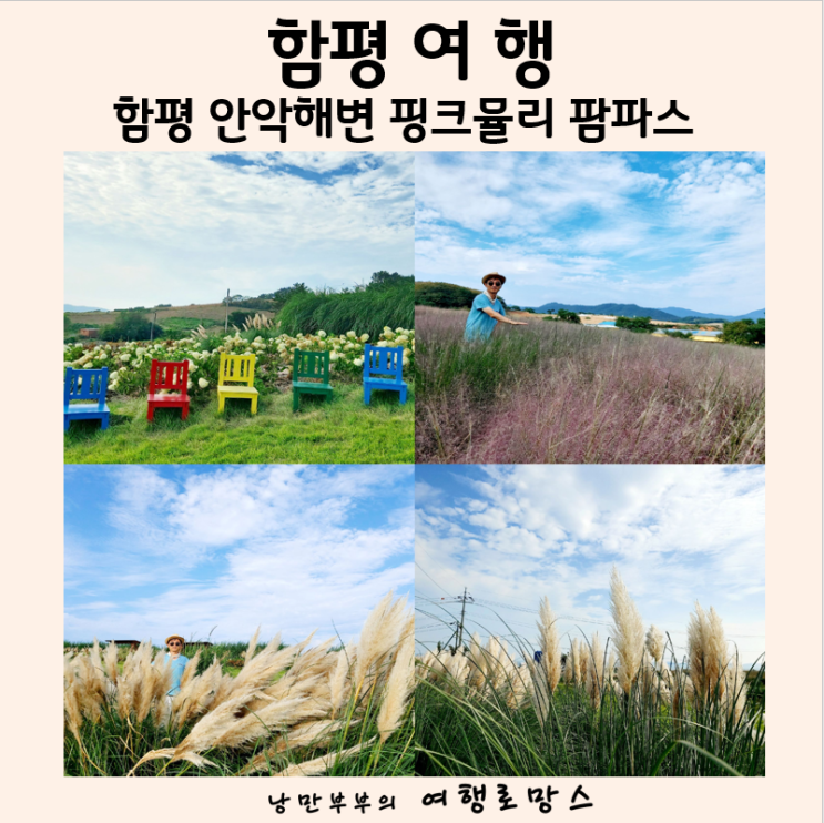 함평 가볼만한곳 안악해변 해수욕장 핑크뮬리 팜파스 광주 근교 바다 전남 드라이브 코스 네이버 블로그