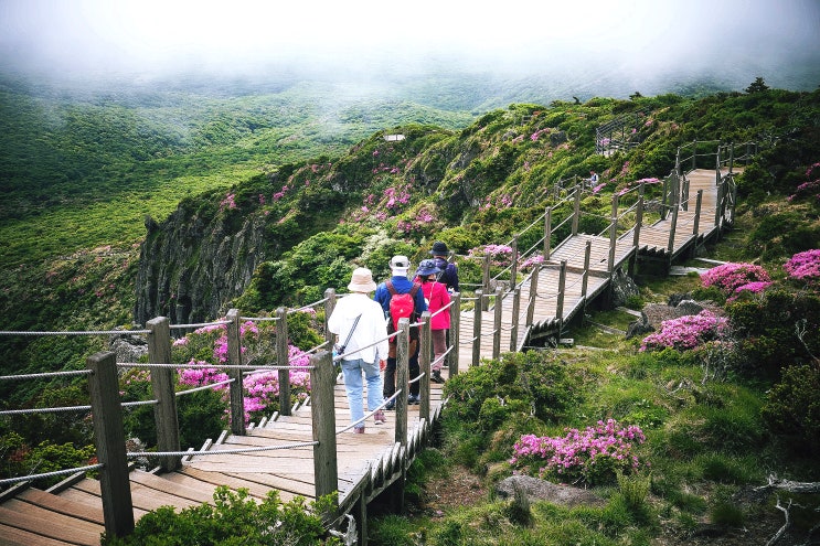 한라산 영실코스 및 제주 등산코스 ft.한라산국립공원/제주도 윗세오름/등반코스 정상/철쭉/준비물 : 네이버 블로그