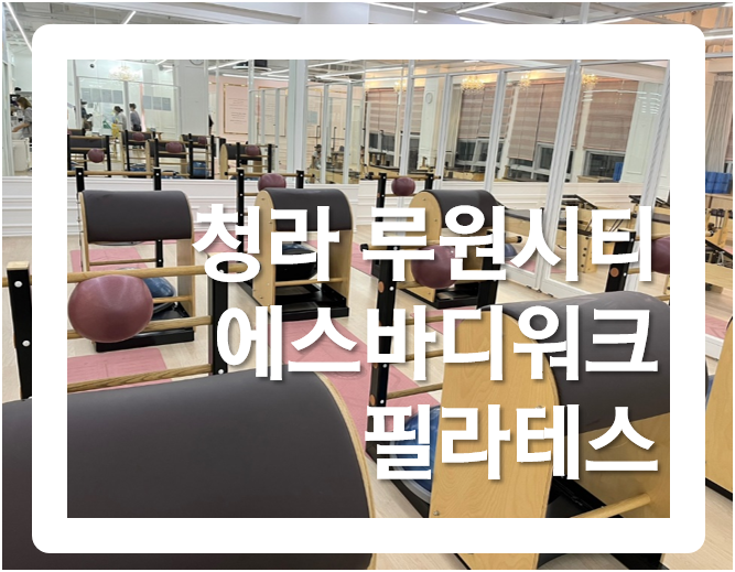 필라테스 청라필라테스 청라pt 에스바디워크필라테스 청라점 네이버 블로그