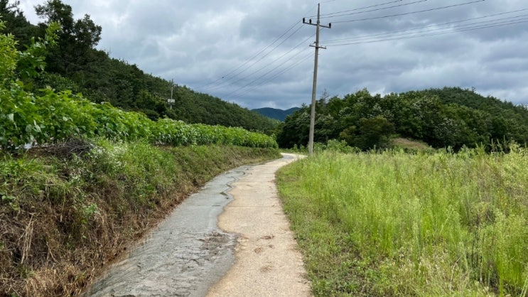 군위군 산성면에 위치한 도로 접한 남향의 임야 매매 군위 땅 군위 토지 군위 부동산 네이버 블로그