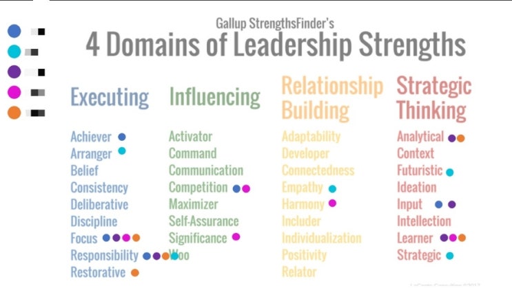 [강점혁명] 갤럽 재능검사 - Gallup Strength finder 결과 공유 (배움, 집중, 책임감, 복구, 분석 ...