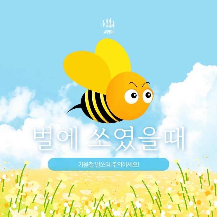 벌에 쏘였을때 물렸을때 증상 약 연고 병원 에피네프린 주사 벌쏘임 응급처치 벌침제거 방법 네이버 블로그