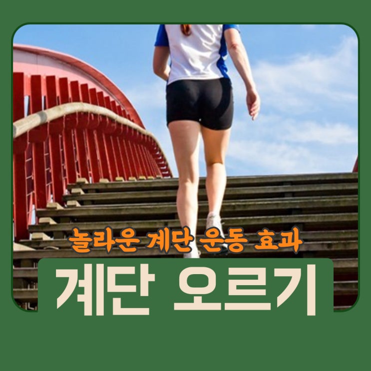 계단오르기 운동 효과 및 주의할점 알아봐요 네이버 블로그
