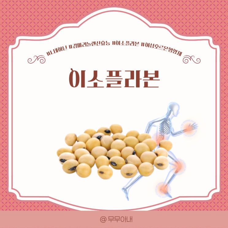 이소플라본 L테아닌 감마리놀렌산효능 여성호르몬영양제로 네이버 블로그