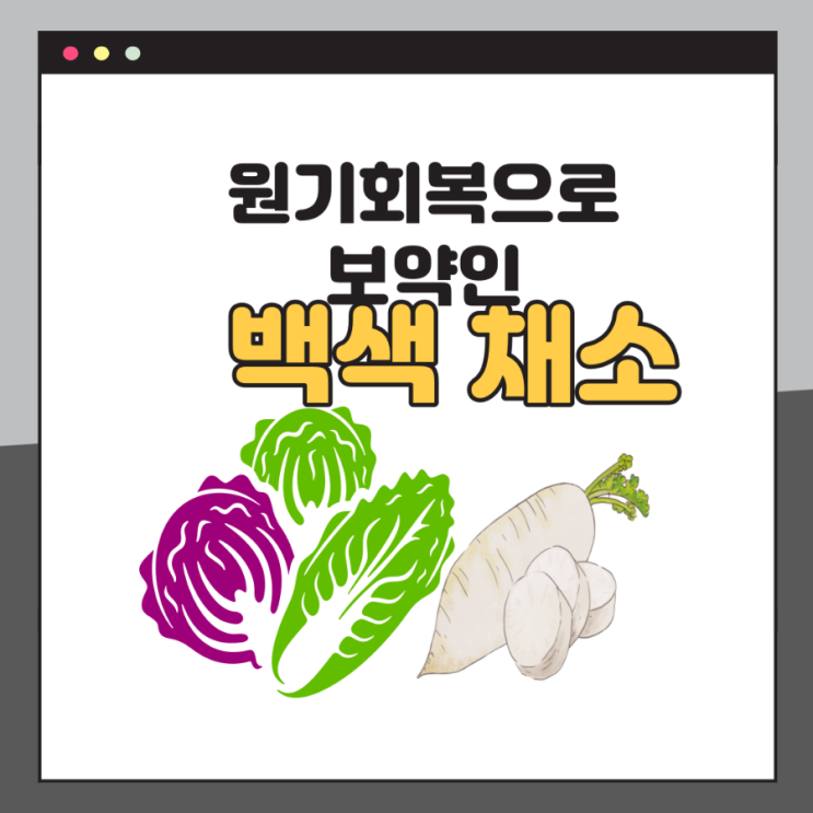 백색 채소는 보약일까요? : 네이버 블로그