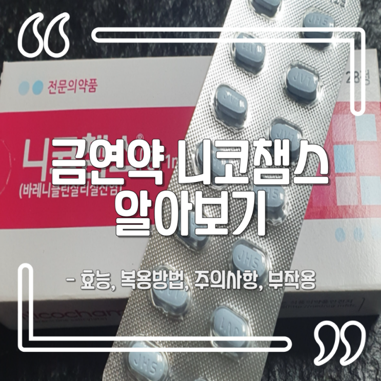 금연약 니코챔스정 복용방법 부작용 효능 알아보기 네이버 블로그