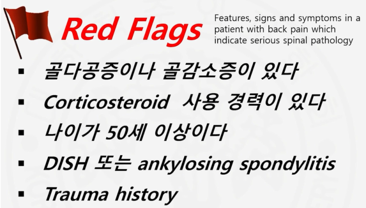 [요추] 척추 Red flag : 골절, 감염, 암(전이), cord lesion / cauda equina : 네이버 블로그