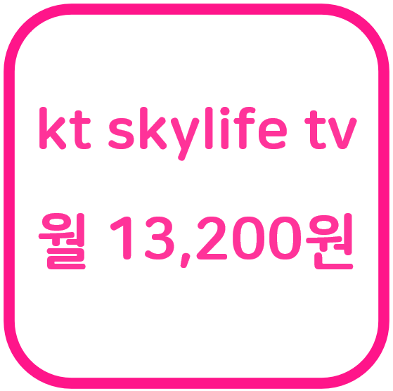 kt skylife tv 1대도 신청 가능합니다. : 네이버 블로그